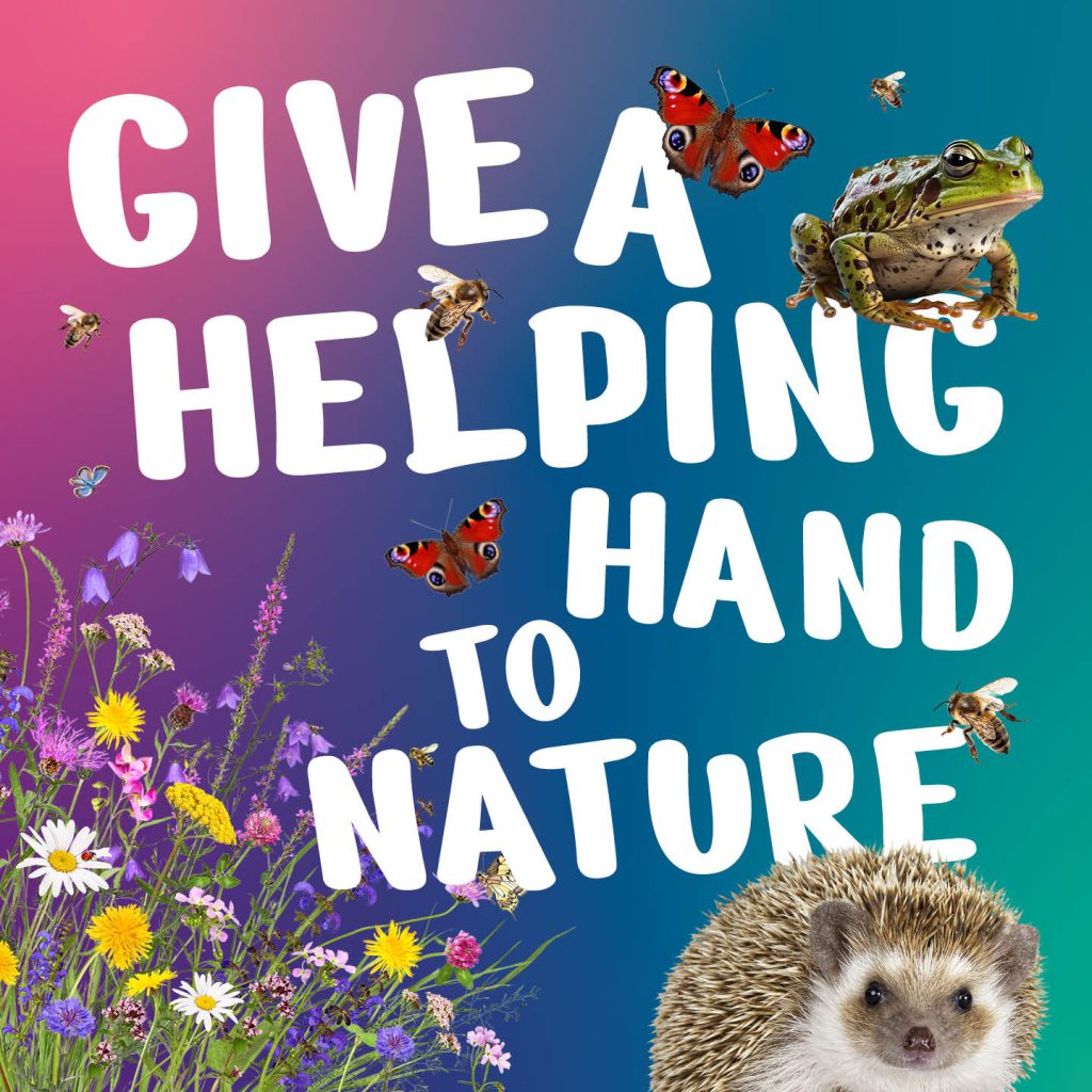 Giving nature a helping hand in South Norfolk - All Things Norfolk